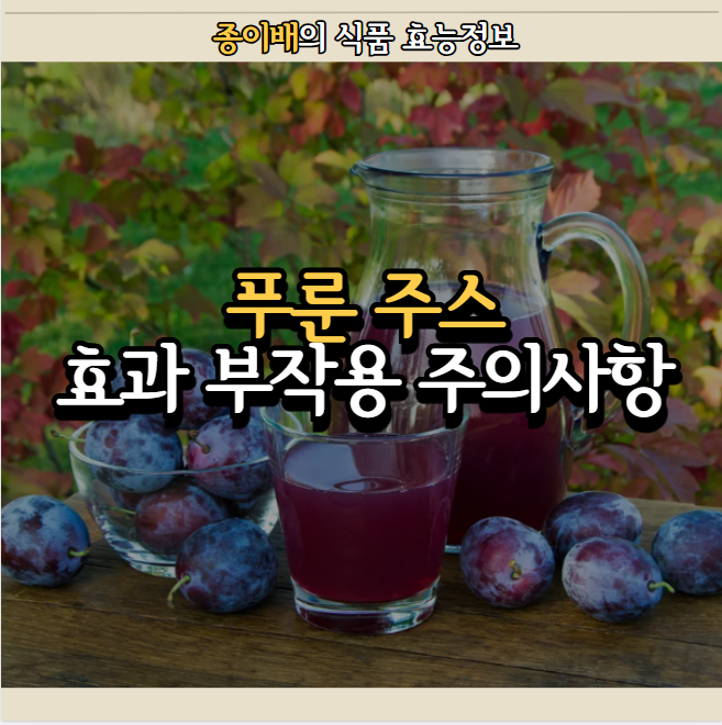 푸룬 주스 효능 변비 효과 부작용 섭취량 주의사항 네이버 블로그