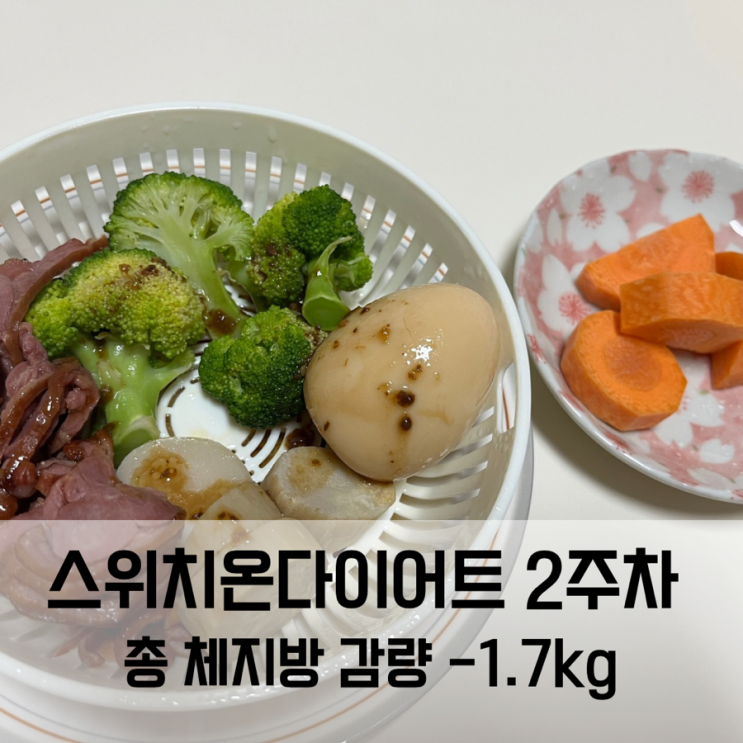 스위치온 다이어트 2주차 후기 네이버 블로그