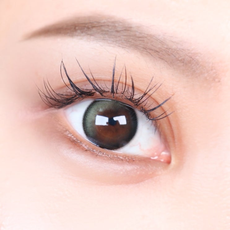 하파크리스틴 시크리티브 올리브 플러스 직경 내돈내산 : 네이버 블로그