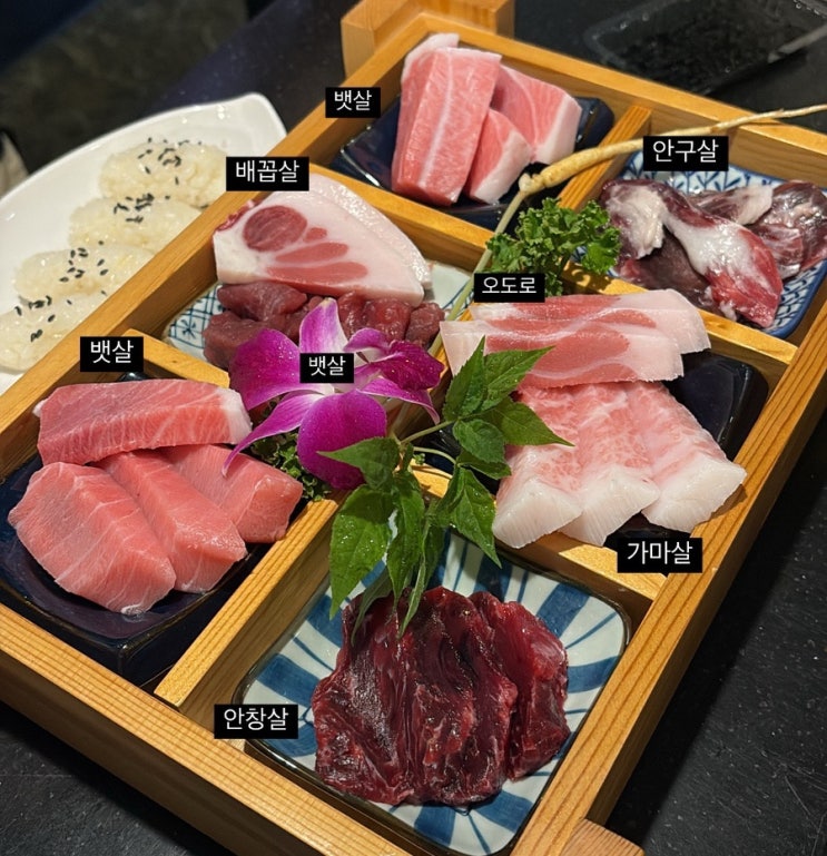 천안 참치회 맛집 쌍용동 참치직판장 내돈내산 찐 5년 참치맛집 네이버 블로그
