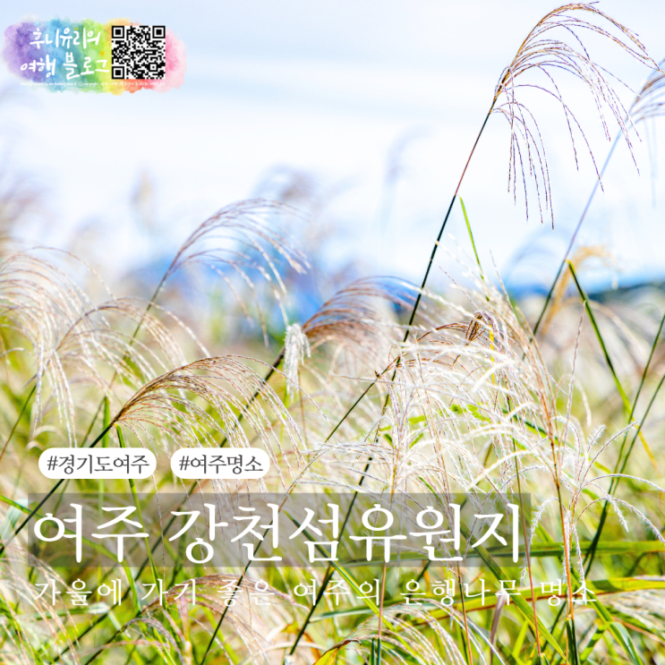 서울근교 당일치기 여행 10월 가을 명소 여주 강천섬 유원지 은행나무 네이버 블로그