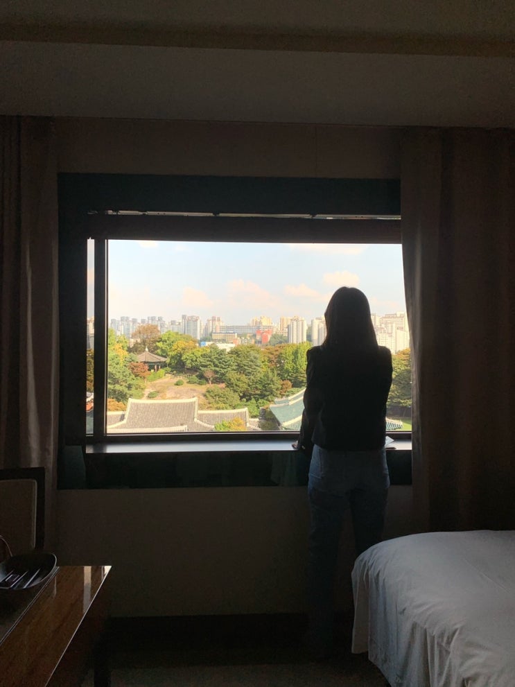서울 신라호텔 어반아일랜드 10월 이용 후기 서울 호캉스 수영장호텔 영빈관뷰 디럭스룸 저층뷰 네이버 블로그