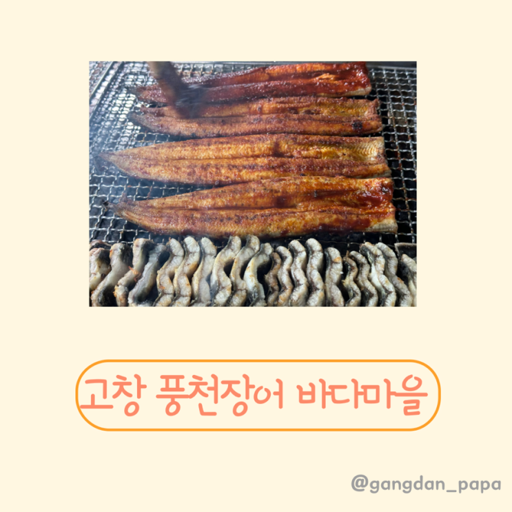 고창 바다마을장어구이 풍천장어 장어구이 아기랑 동호해수욕장맛집 네이버 블로그