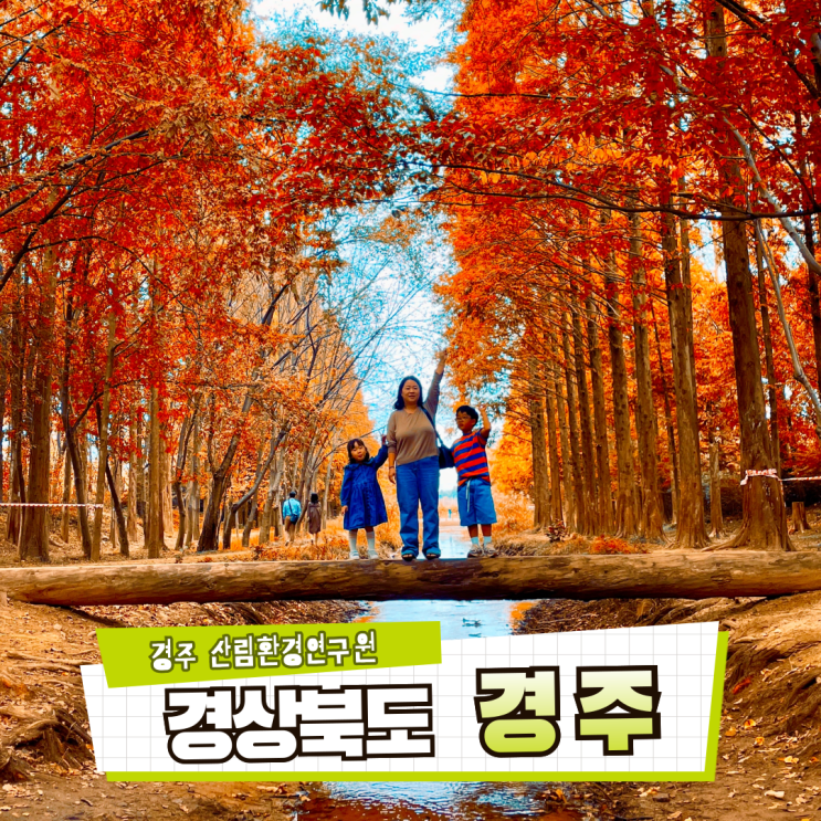 경주 여행 경주 가볼만한곳 단풍 명소 경주 천년의숲 산림환경연구원 네이버 블로그