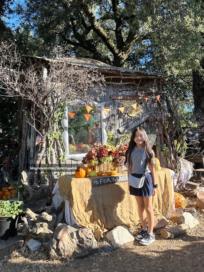 미국 샌디에고 줄리안 할로윈 펌킨패치, Julian Fort Cross Old Timey Adventures, 샌디에고 근교 ...