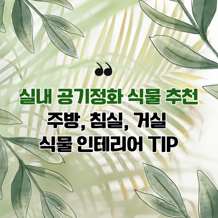 싱그러운 공간을 위한 실내공기정화식물 추천 주방 침실 거실 식물 인테리어 Tip 네이버 블로그