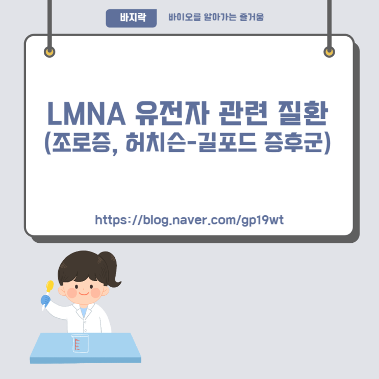 조로증, 허치슨-길포드 증후군 (LMNA 유전자 변이) : 네이버 블로그