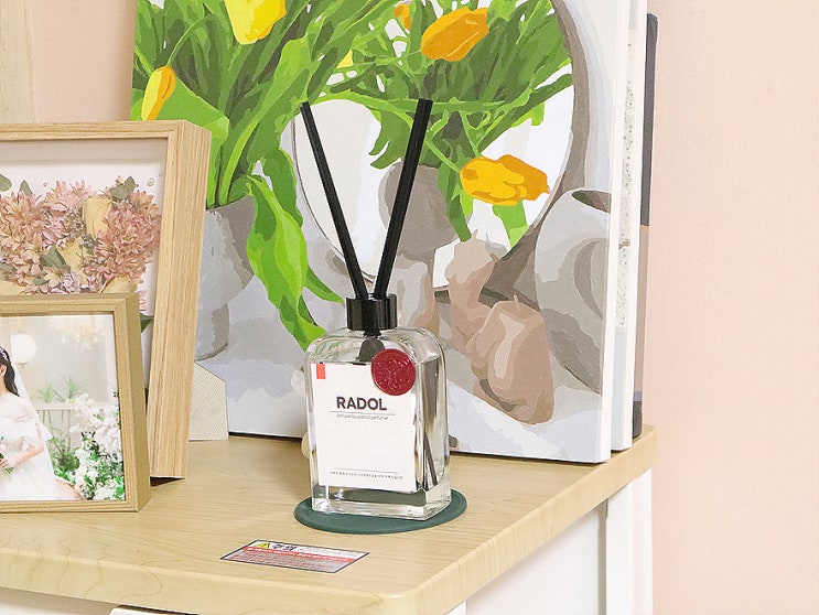 디퓨저 추천, RADOL 디퓨저로 인테리어 효과까지! : 네이버 블로그
