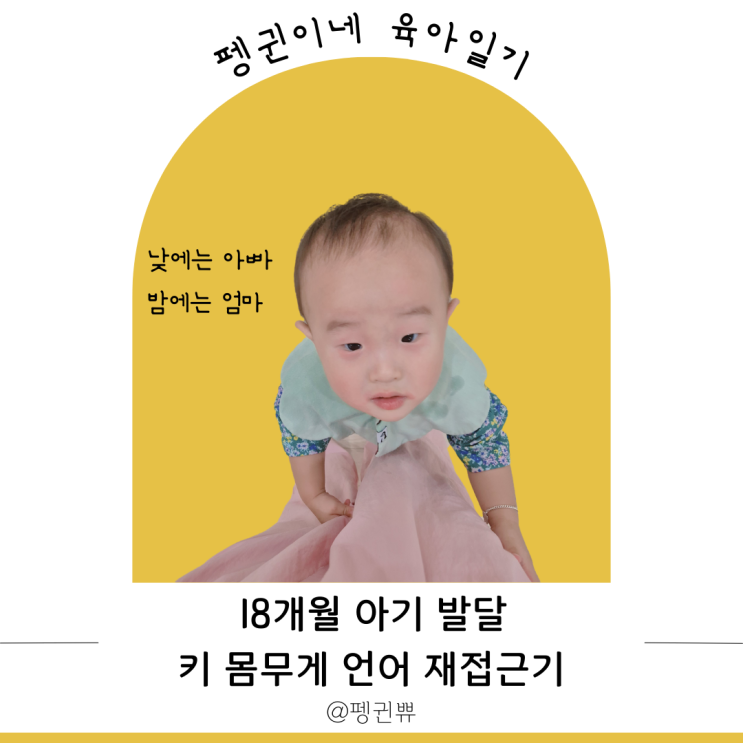 18개월 아기 발달 키 몸무게 언어 재접근기 집착 네이버 블로그
