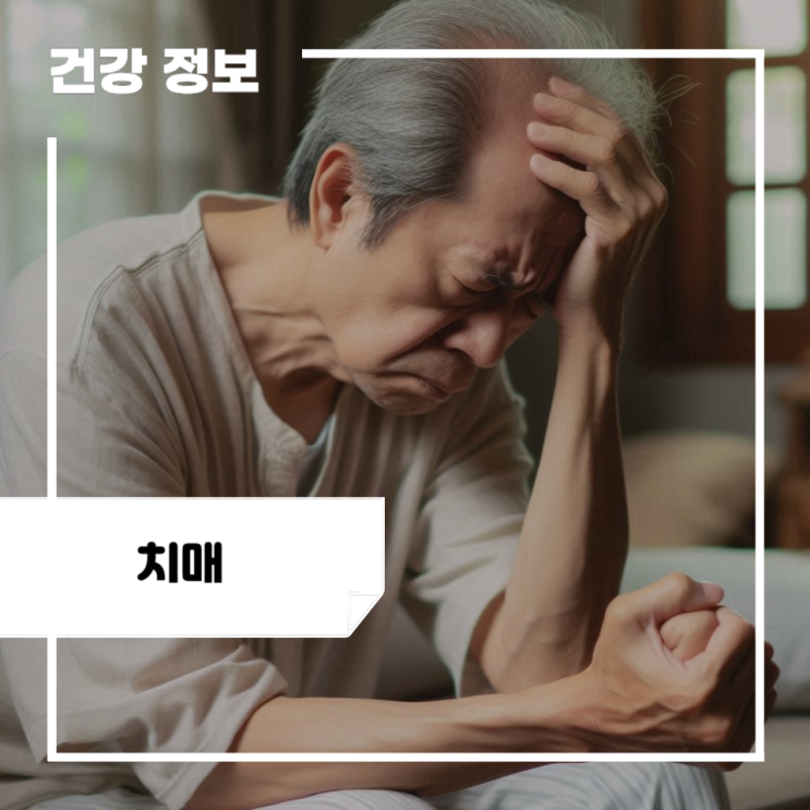 치매의 전조증상 및 원인 치료 진단 검사 치매 예방법 노인성 치매증상 네이버 블로그