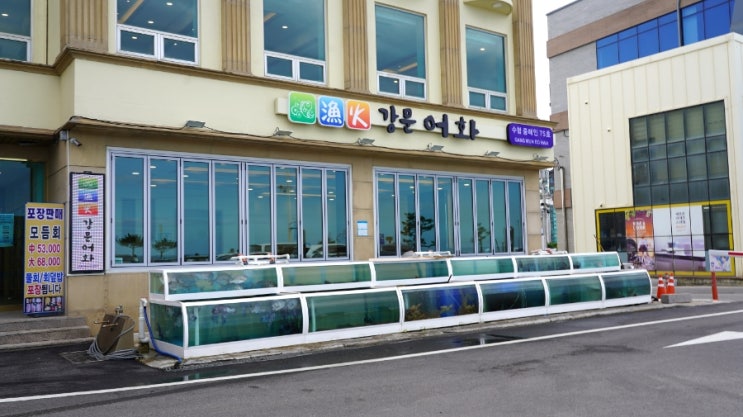 강릉물회맛집 강문해변 강문어화횟집 네이버 블로그
