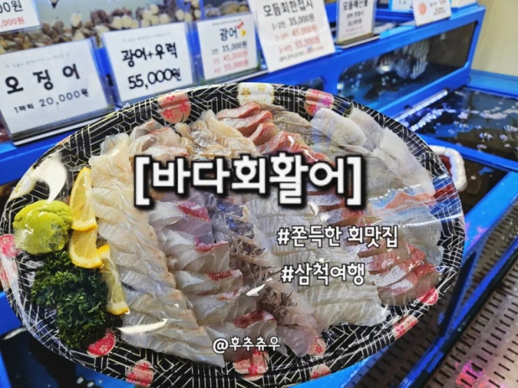 강원도여행 삼척 중앙시장 회 맛집 삼척 회 포장 전문점 삼척 방어회 맛집 바다회활어 네이버 블로그