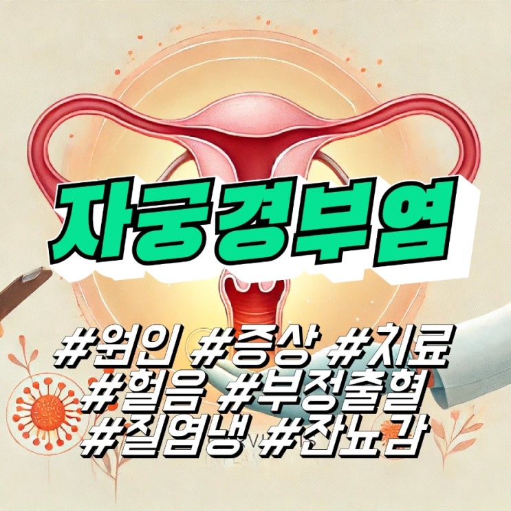 자궁 경부 염증 원인 자궁경부염 증상 치료 헐음 부정 출혈 질염냉 여성 잔뇨감 네이버 블로그