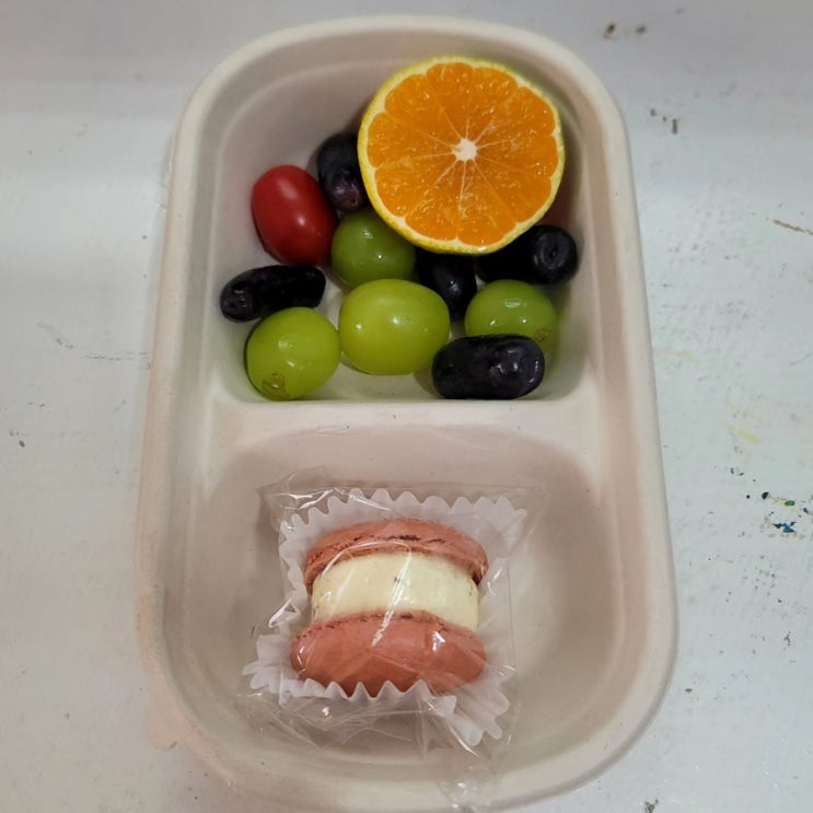 대전과일도시락, 대전유성구과일도시락, 유성과일도시락, 과일마카롱도시락 : 네이버 블로그