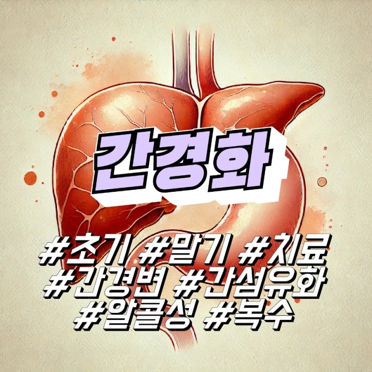 간경화 증상 초기 말기증상 치료방법 간경변 간섬유화 알콜성 복수 네이버 블로그