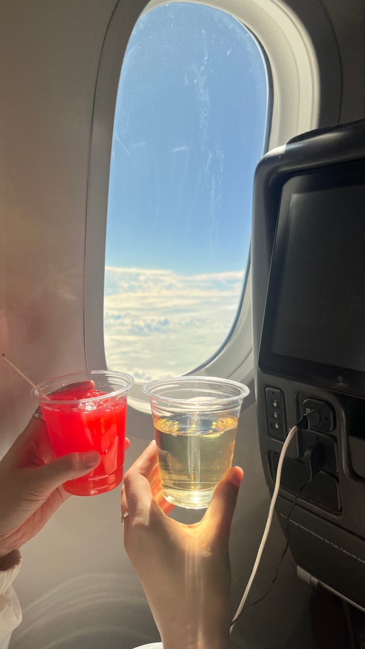 [🇸🇬싱가포르] 항공 • 싱가포르항공 후기(SQ607, SQ612, 와이파이, 기내식, 얼리체크인) : 네이버 블로그