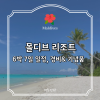 📌몰디브 로컬섬 올인클루시브 리조트 6박 7일 여행 일정 코스 총 경비 및 기념품 네이버 블로그