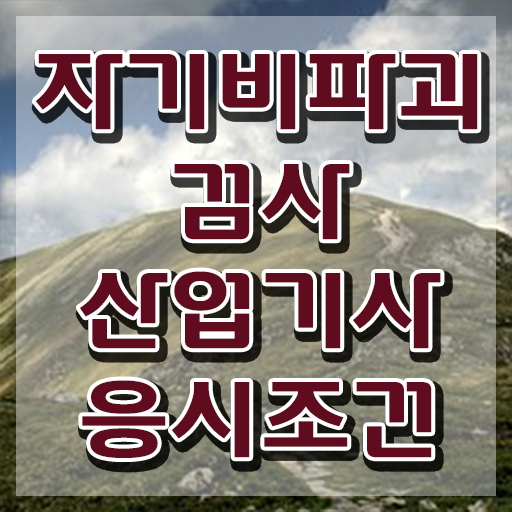 자기비파괴검사산업기사 필기 접수기준 자기비파괴검사산업기사 응시조건 온라인 과정으로 간편하게 성공한 전략 네이버 블로그