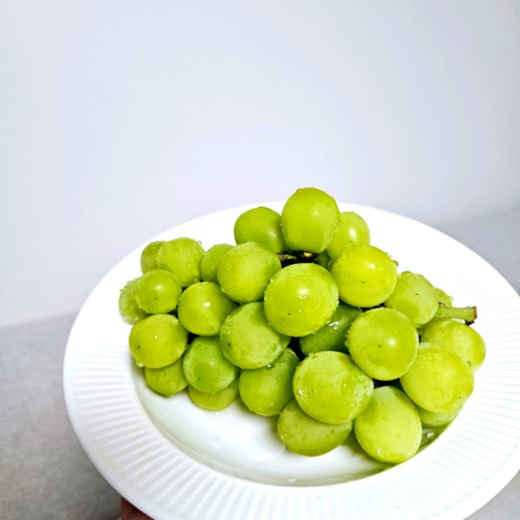 30 임산부 샤인머스캣 키위 바나나 참외 복숭아 수박 파인애플 감 Gmo 먹어도 될까 🍇🍋🍓🍑🍋 네이버 블로그