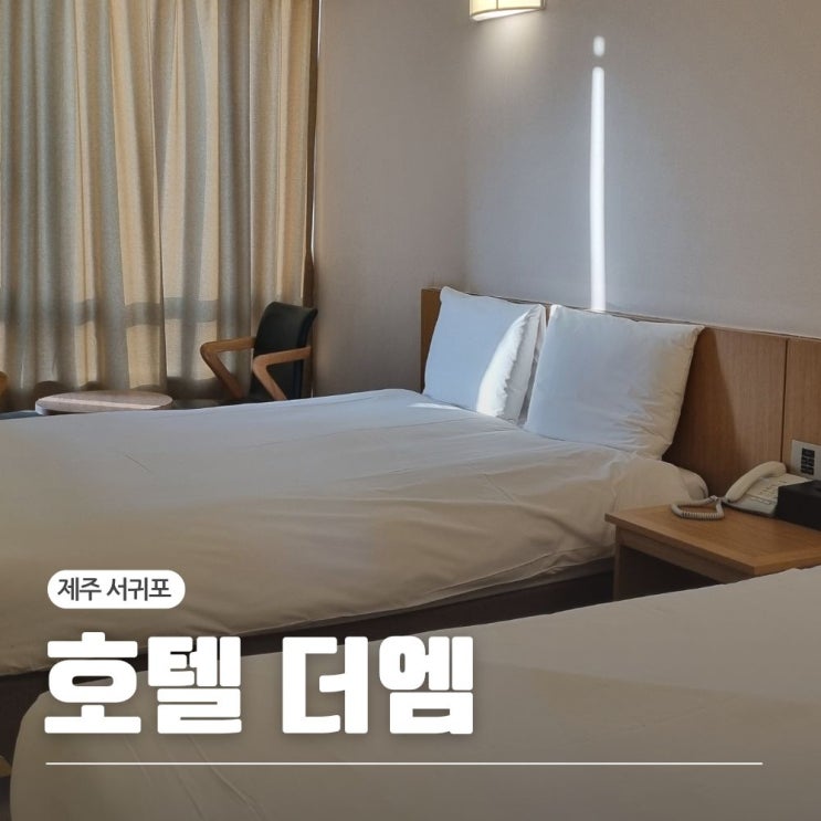 제주 서귀포 올레시장과 가까운 가성비 숙소 호텔더엠 네이버 블로그