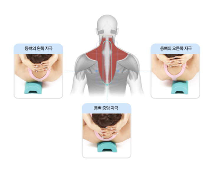 결혼 전 꼭 해야 할 운동 | SNPE T 무브 제대로 알고 진행하기 : 네이버 블로그