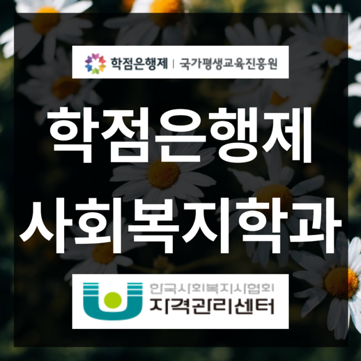 학점은행제 사회복지학과 4년제 졸업자과 자격증 네이버 블로그