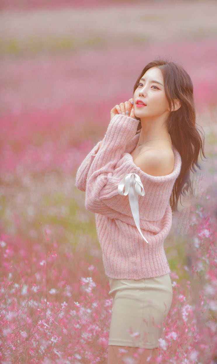 철원 고석정 꽃밭 가을꽃축제 네이버 블로그