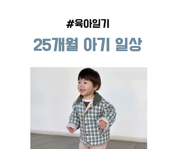 가정보육 육아일기 25개월 아기 일상 스케줄 홈스쿨링 놀이 네이버 블로그