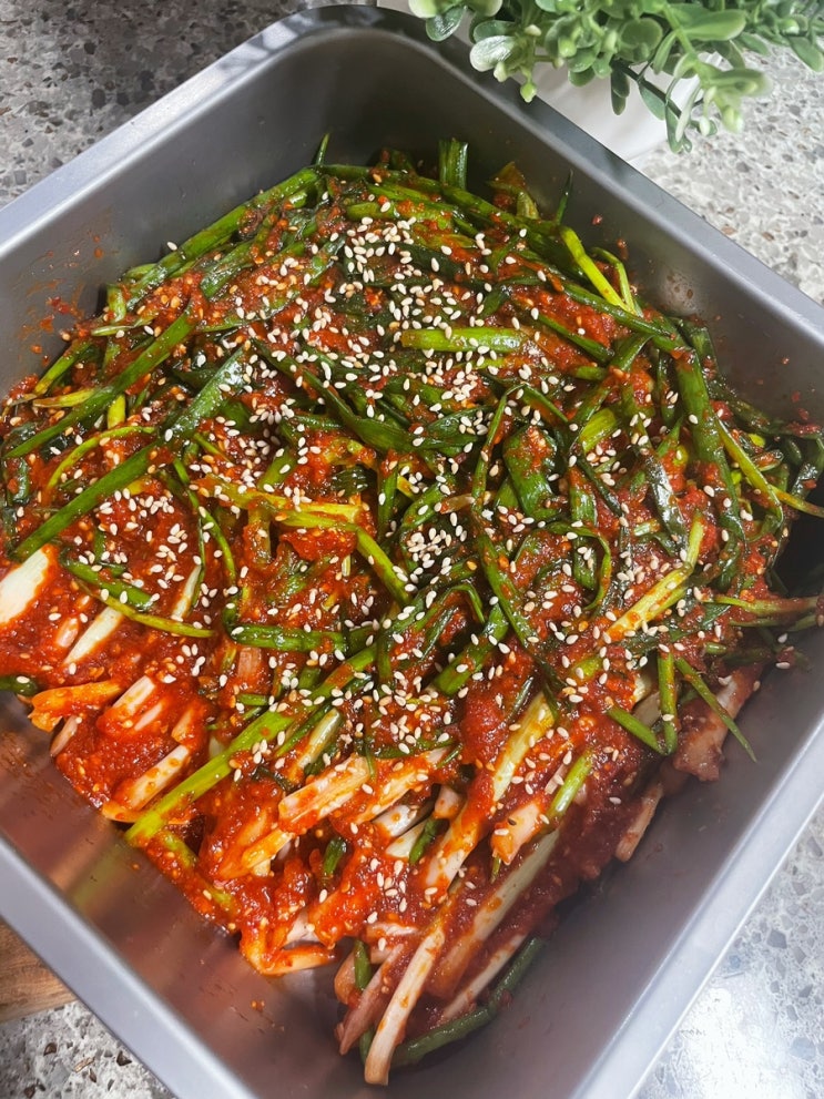 전참시 이영자 쪽파김치레시피 맛있는 파김치만들기쪽파김치 간단레시피 네이버 블로그