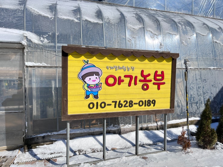 아기농부 딸기체험 화성 아기랑 가볼만한 곳 20개월만에 포스팅 네이버 블로그