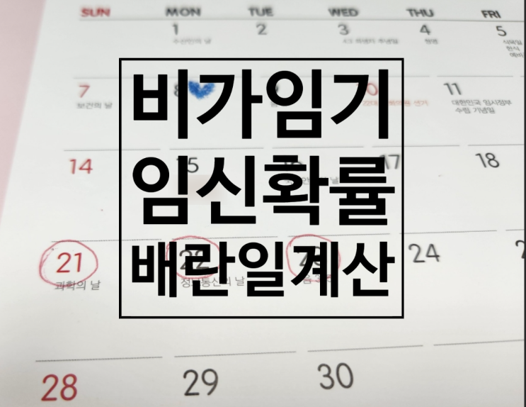 비가임기 임신확률 가임기 비가임기 뜻 증상 차이 배란일 계산기 네이버 블로그