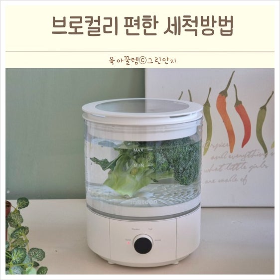 브로콜리 냉동 블루베리 세척 방법 이유식 야채 과일 세척기 뮤트온 네이버 블로그