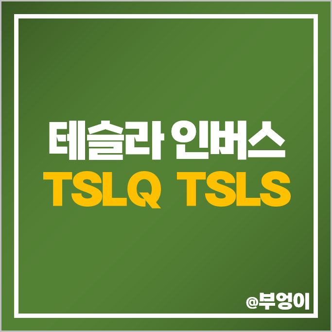 TSLA 테슬라 관련주 인버스 투자 방법 미국 ETF TSLQ TSLS 주가 배당 : 네이버 블로그
