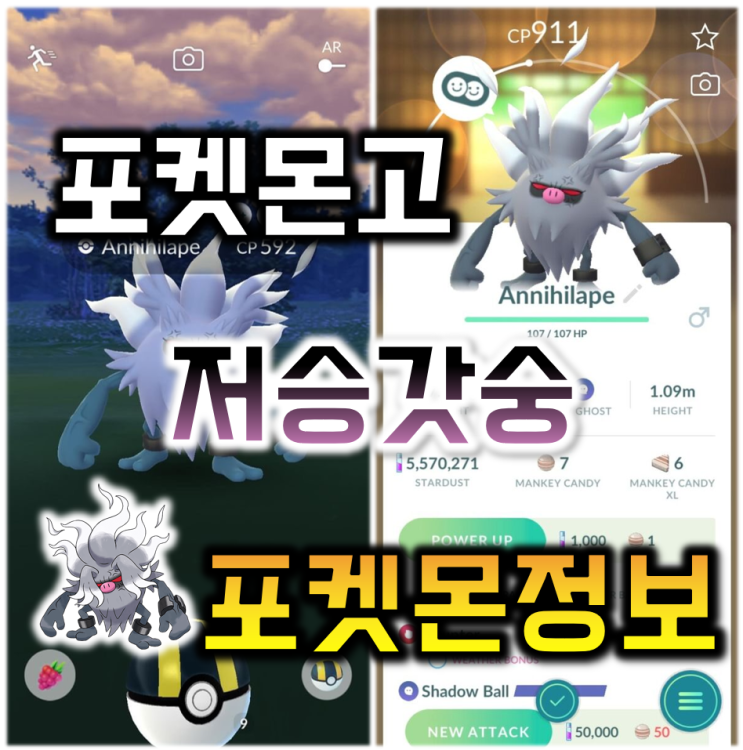 포켓몬고 저승갓숭 And 약점 And 졸업스킬 And 활용도 정보 총정리 네이버 블로그