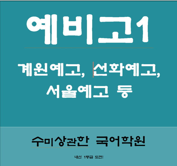 계원예고 예비고1 국어내신 선화예고 서울예고 고1예비 국어특강 대치동국어학원 네이버 블로그
