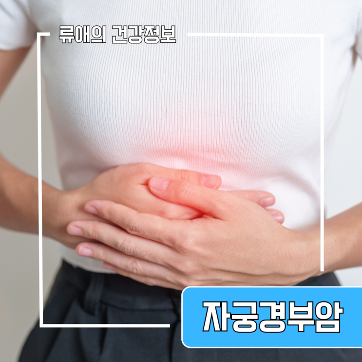 자궁경부암초기증상 원인 조직검사 자궁경부암 전단계 네이버 블로그
