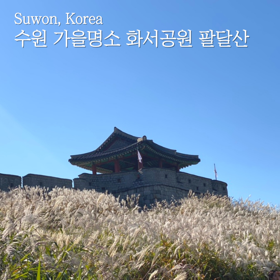 수원 화서공원 팔달산 억새 단풍 명소 주차장 실시간 상황 네이버 블로그