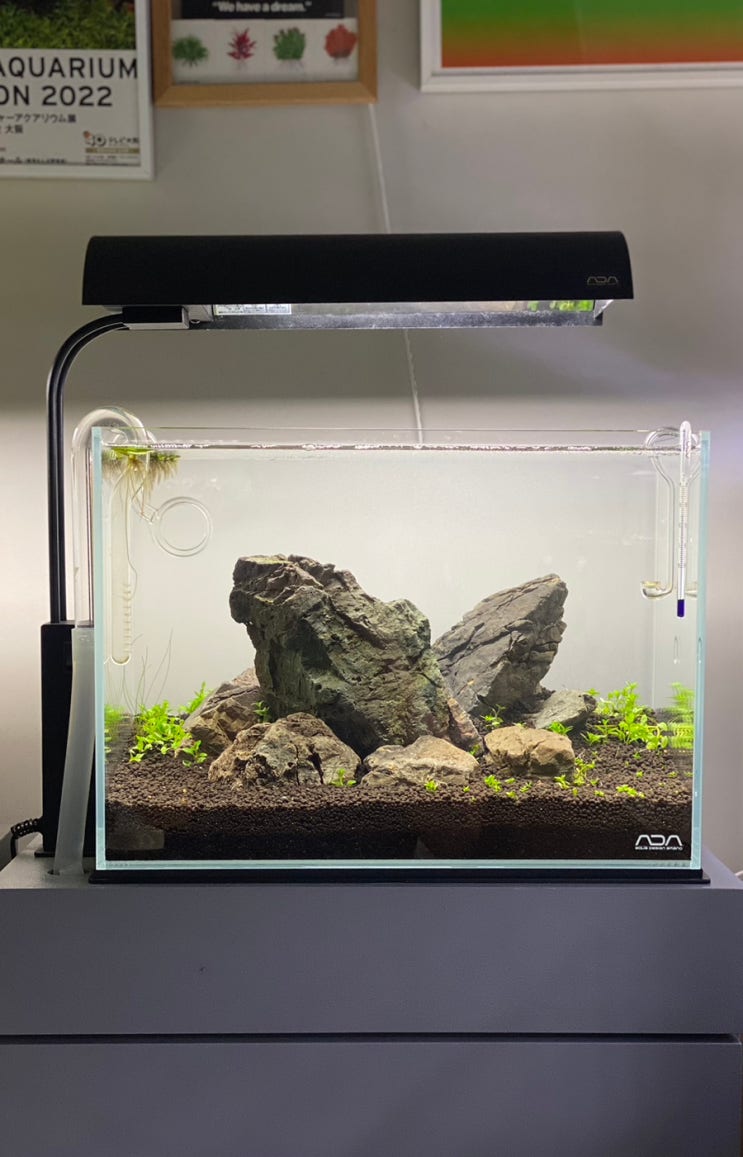 [ADA] ADA Solar Mini Black M..(만천석+나이프스톤) : 네이버 블로그