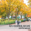 대구 아이랑 갈만한곳 달서9경 관광하기 좋은 드라이브코스 3곳 네이버 블로그