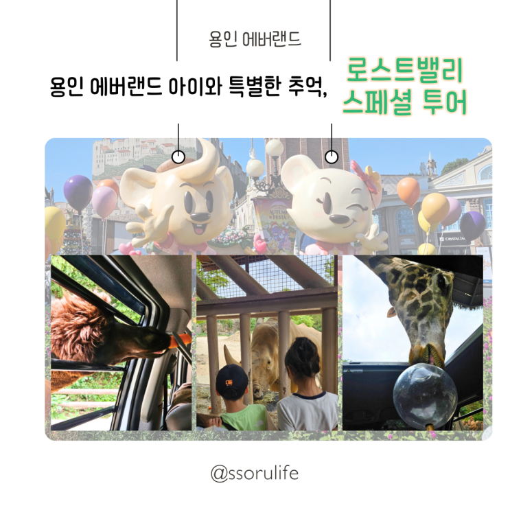 에버랜드 로스트밸리 스페셜 투어 아이와 특별한 시간 후기 자세한 예약 방법 네이버 블로그