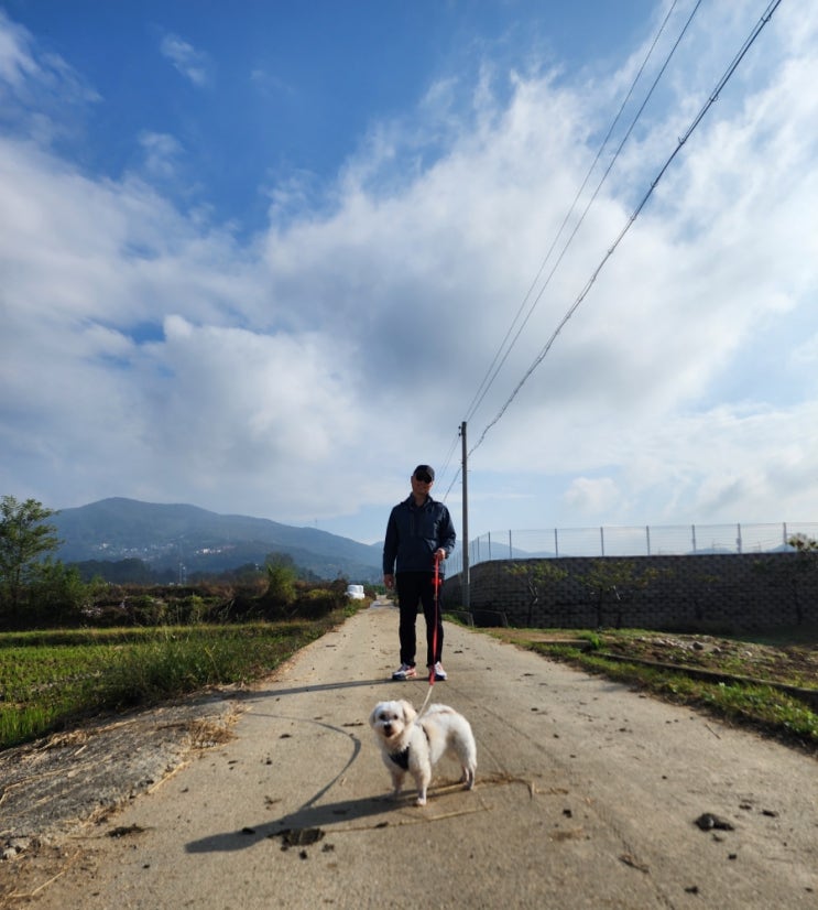 가볍게 살기 1,908 - 61.12kg : 네이버 블로그