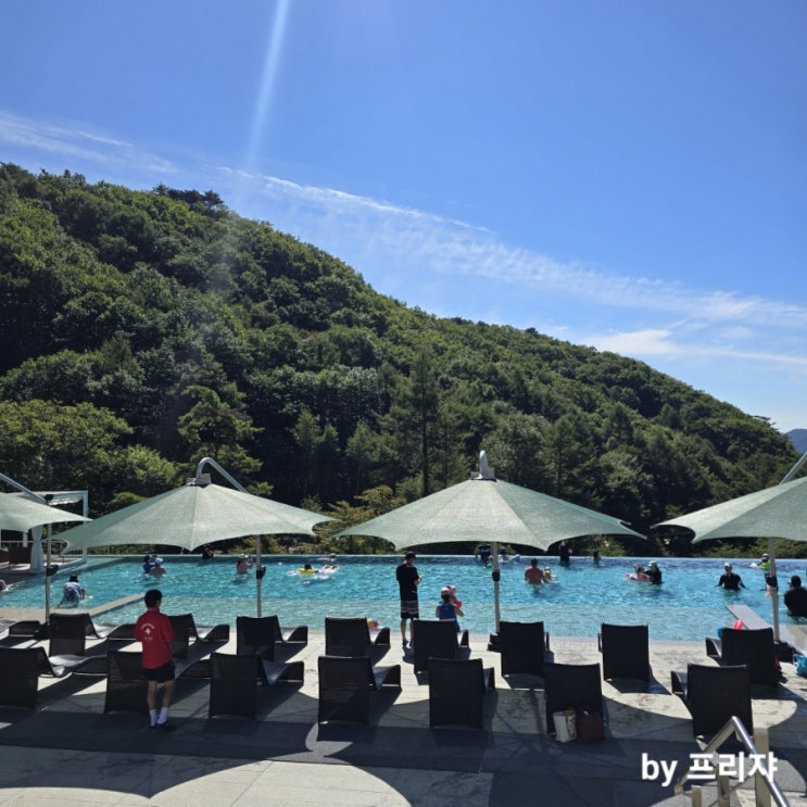 제천 리솜 포레스트 레스트리 스파 해브나인 찐후기 네이버 블로그