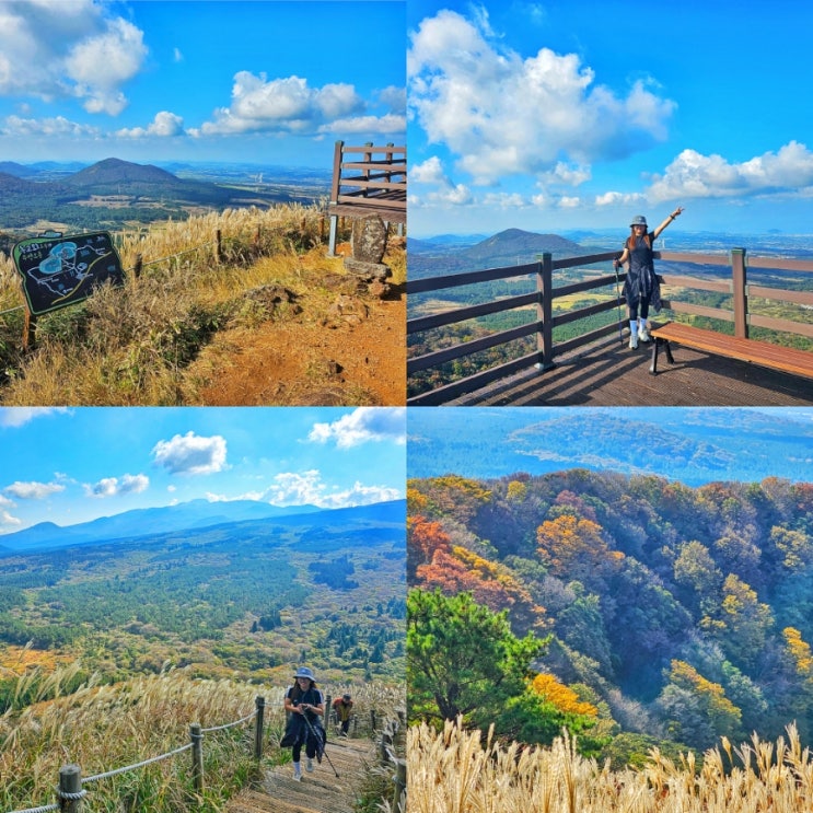 제주도 오름 추천 제주 서쪽 낮은 궷물오름 높은 큰노꼬메오름 억새 풍경 네이버 블로그