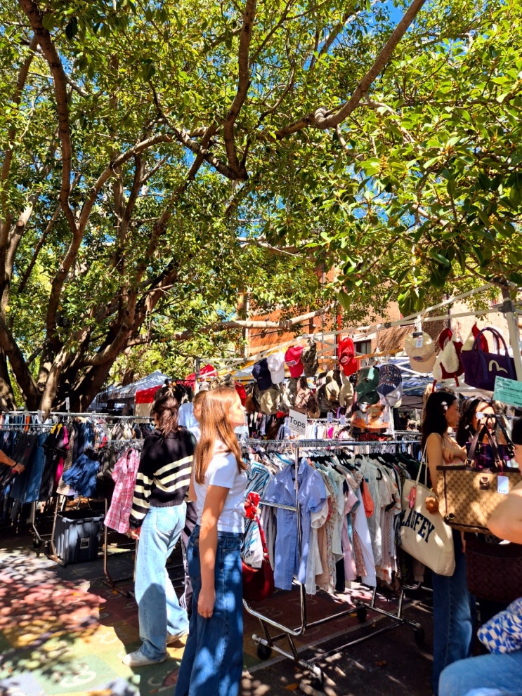 Glebe Markets (시드니 토요일 플리마켓) : 네이버 블로그