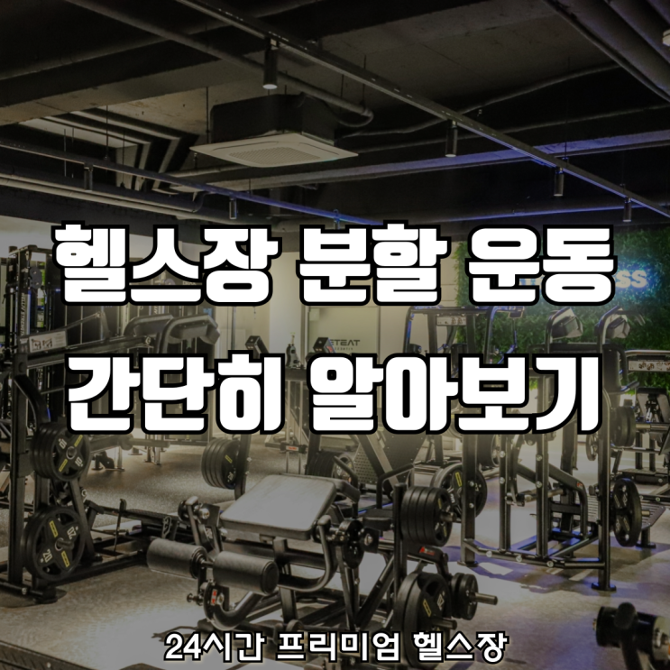 신정동 헬스장 분할 운동 간단히 알아보기 네이버 블로그