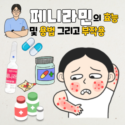페니라민(Peniramin)의 효능 및 용법과 항히스타민 약물인 페니라민 부작용 및 주의사항 : 네이버 블로그