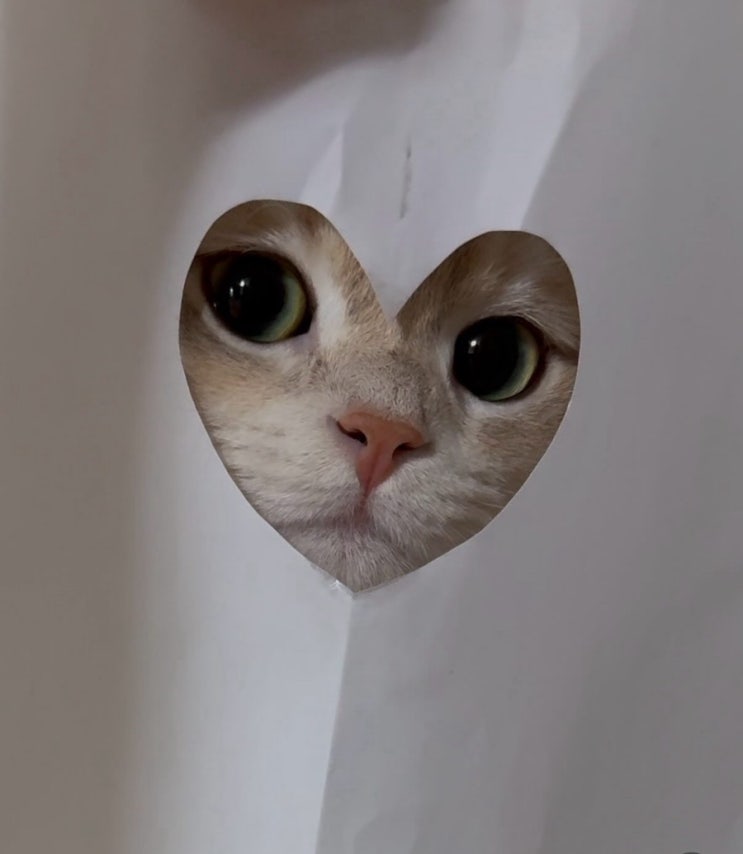 044 So I kind of have a leg up in that regard : 네이버 블로그