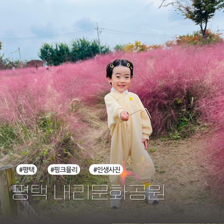 평택 아이랑 가볼 만한 곳 팽성 내리문화공원 핑크뮬리 네이버 블로그