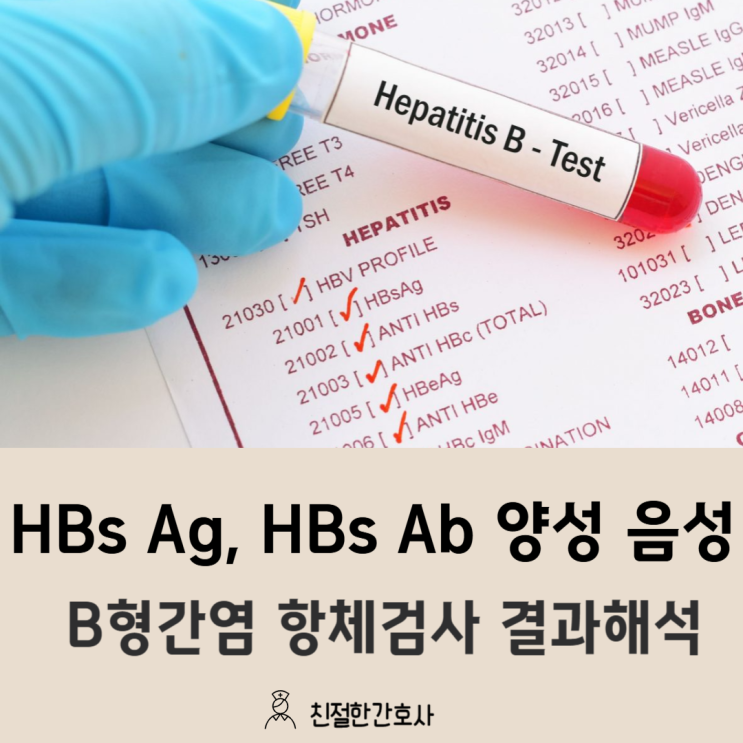 HBs Ab, HBsAg 양성 음성 B형간염 항체검사 해석 쉽게 정리 : 네이버 블로그
