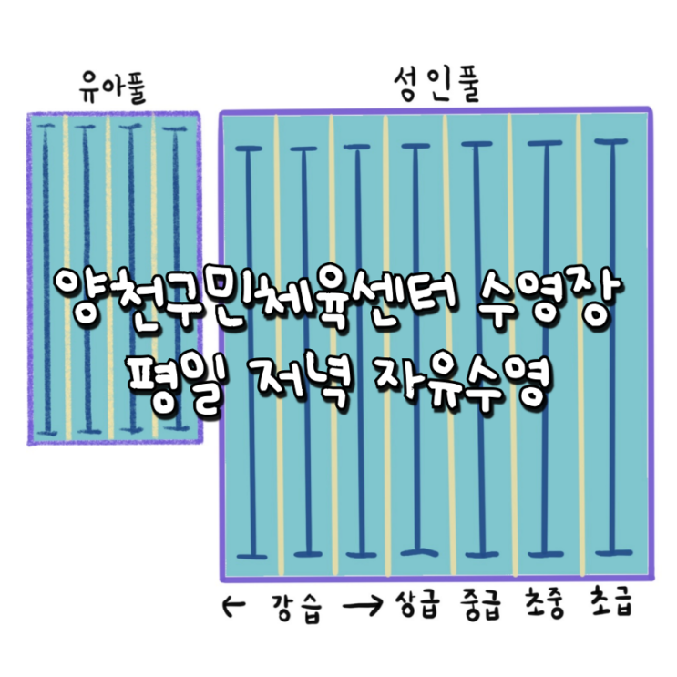 양천구민체육센터 수영장 평일저녁 자유수영 후기 ⭐️ 55 추천🐬 네이버 블로그